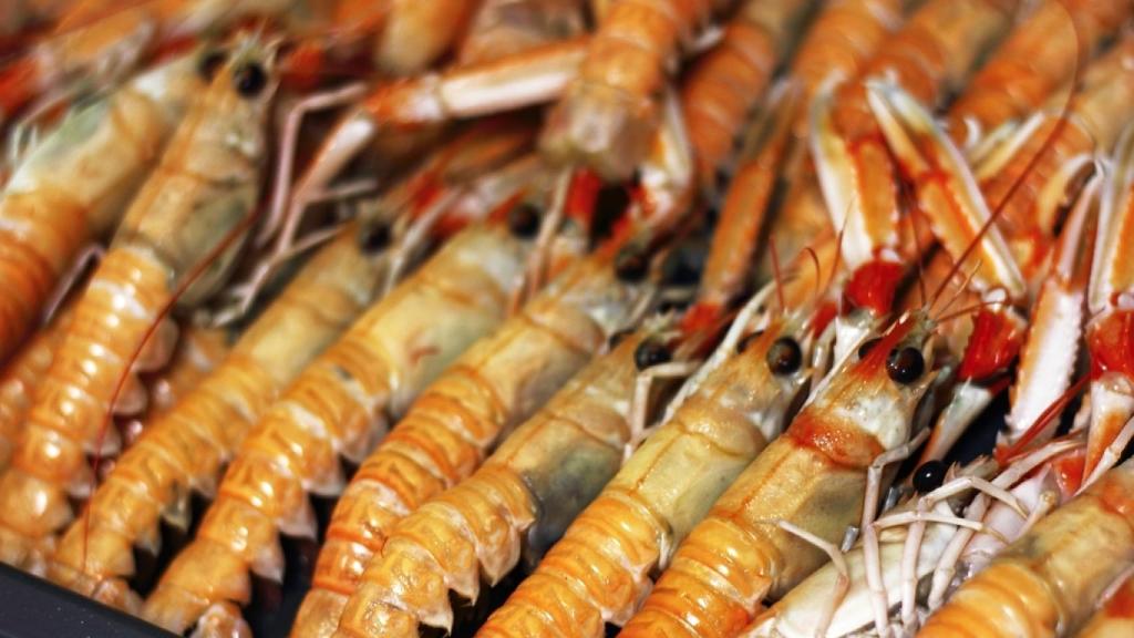 Se Acabó la Cigala y la Gamba Blanca en la Mesa: los Arrastreros ...