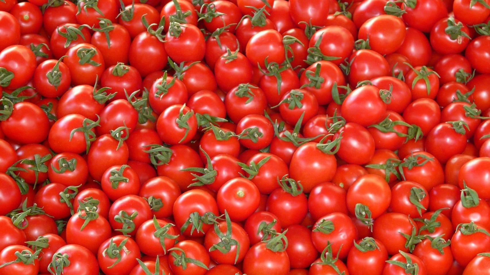Los tomates del súper por fin podrán tener sabor