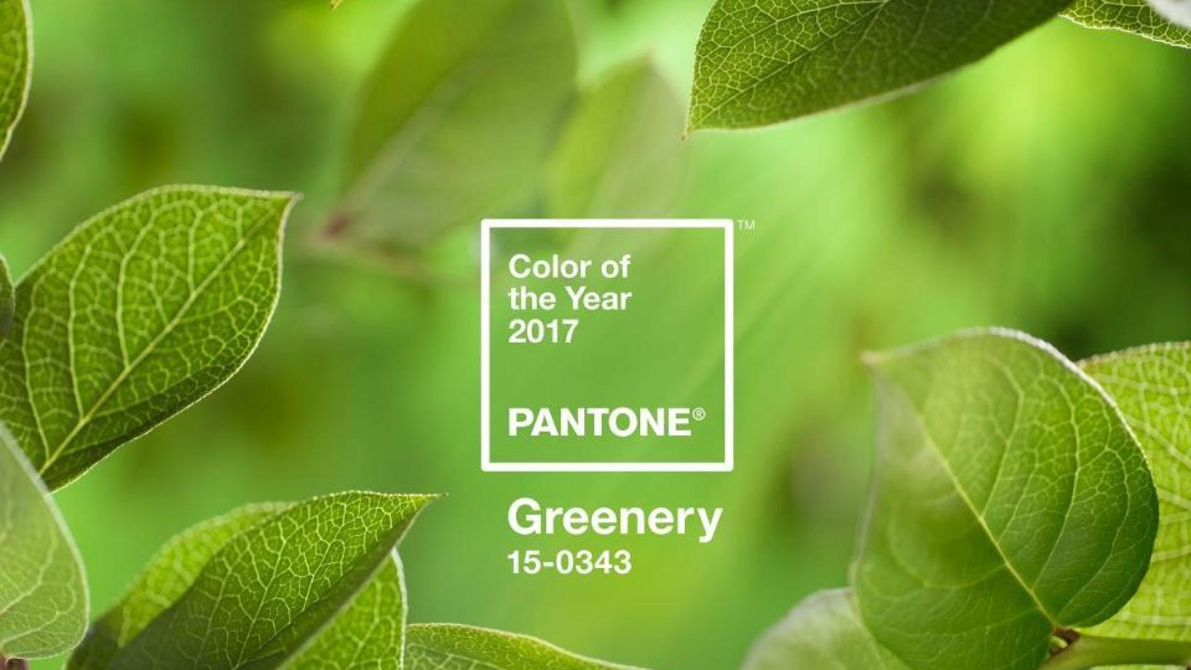 ¿Por qué el verde hierba es el color del año?