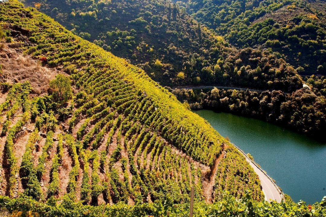 Ribeira sacra, vinos heroicos y un paraíso natural por descubrir