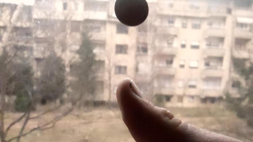 Cómo lanzar una moneda al aire usando Google