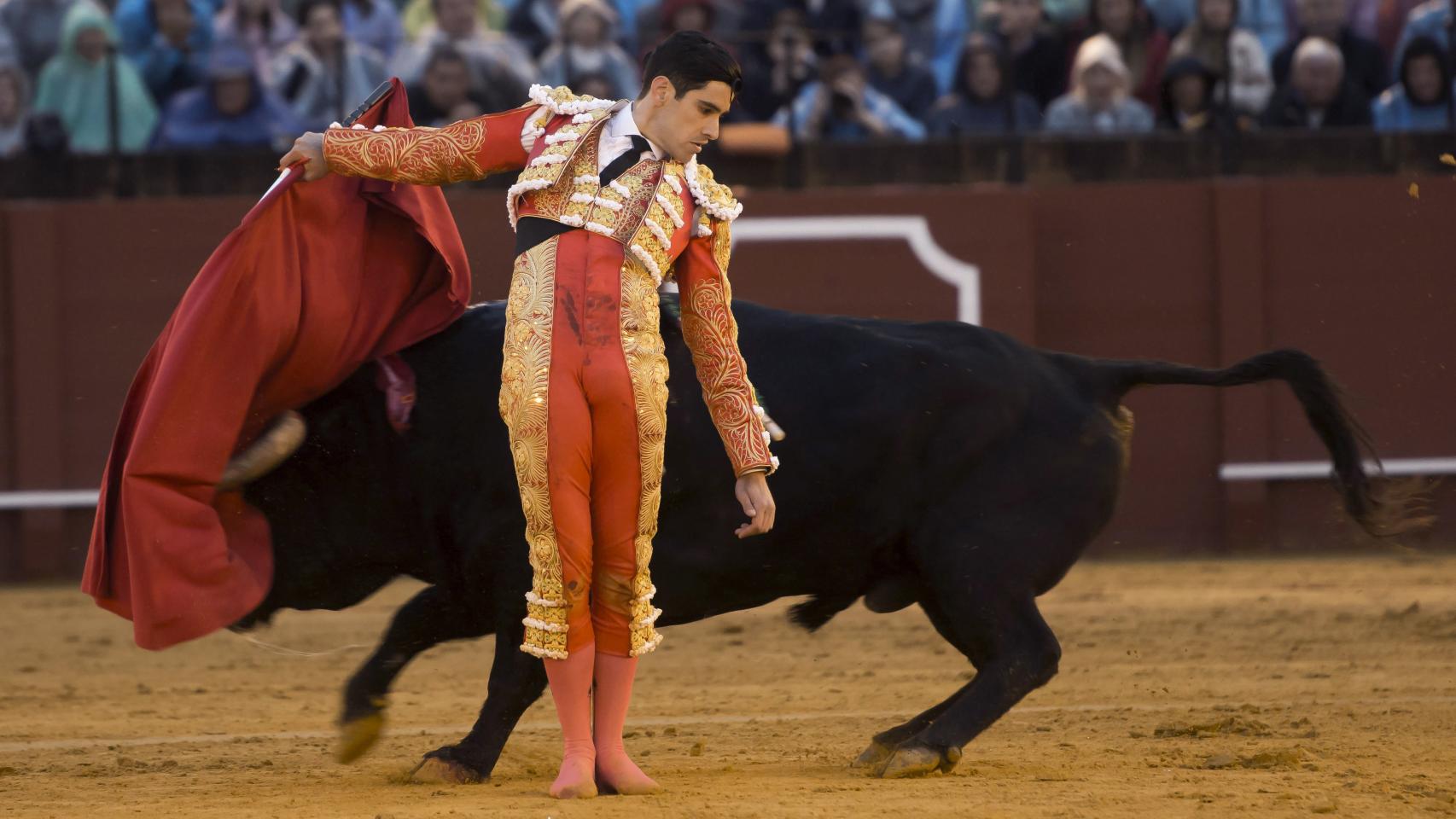 Manzanares, matador de toros