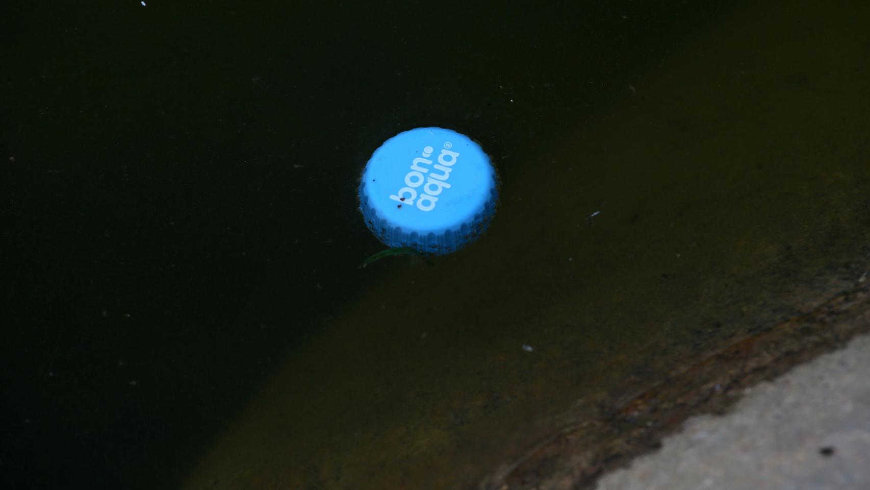 Día Mundial del Medio Ambiente