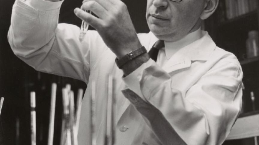 El falsificador de títulos que se inventó el origen del cáncer y engañó ...