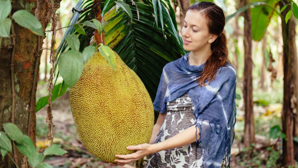 Llega el jackfruit: así es la fruta baja en calorías que triunfa entre ...