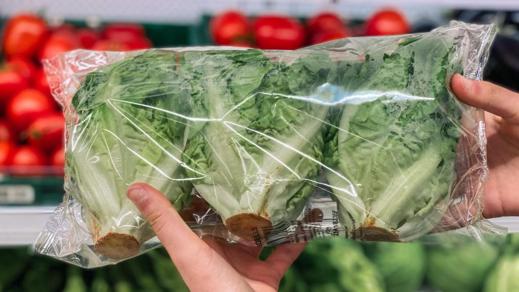 Esto es lo que esconden las lechugas que tienen manchitas rojas en sus ...