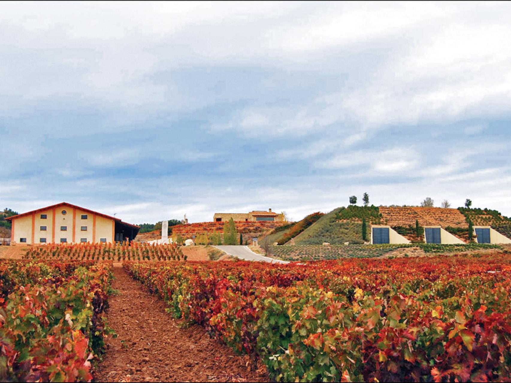 Finca Azaya 2017, el vino tinto de Valduero que nunca falla