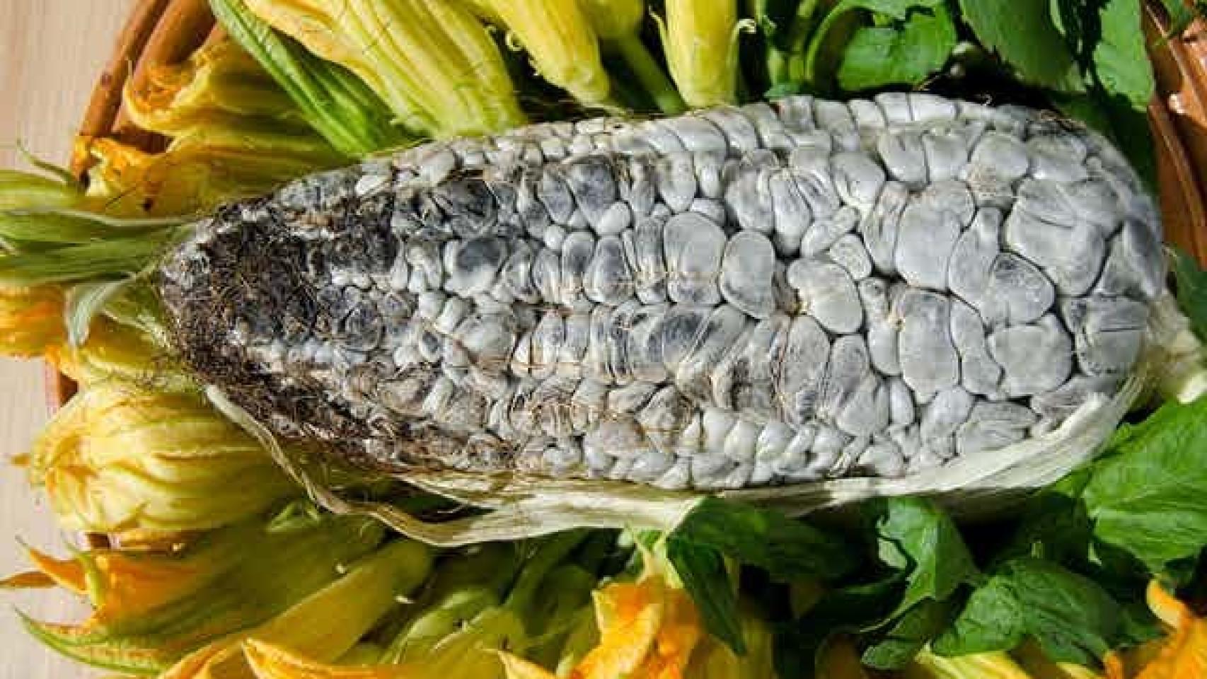 El 'superhongo' mexicano que triunfa en España: así es el huitlacoche