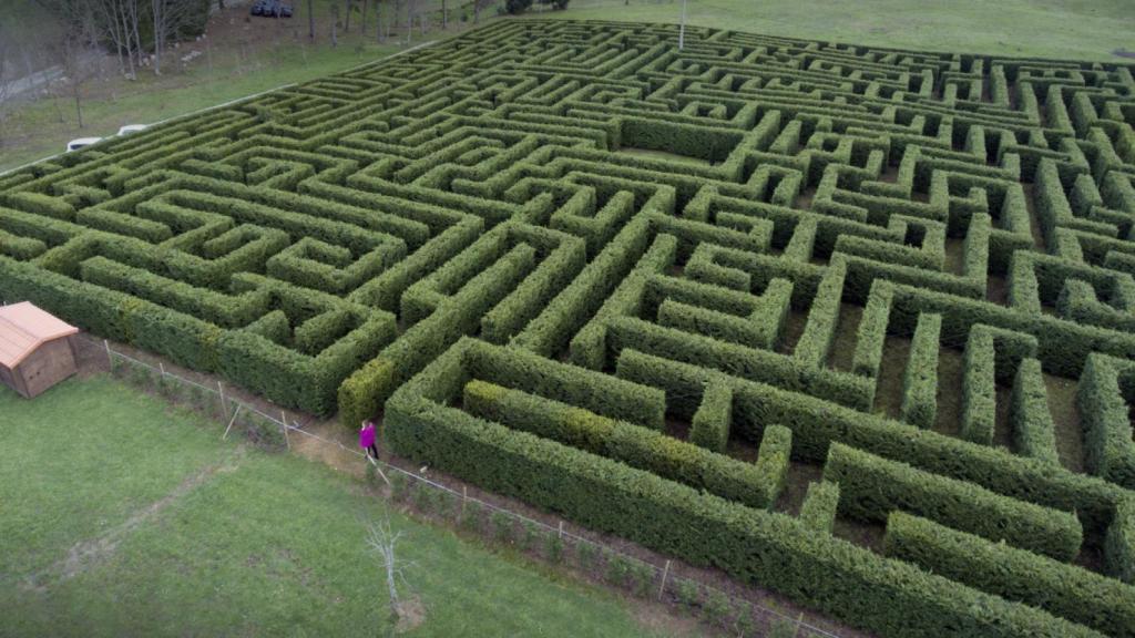 5 laberintos vegetales en España en los que perderse