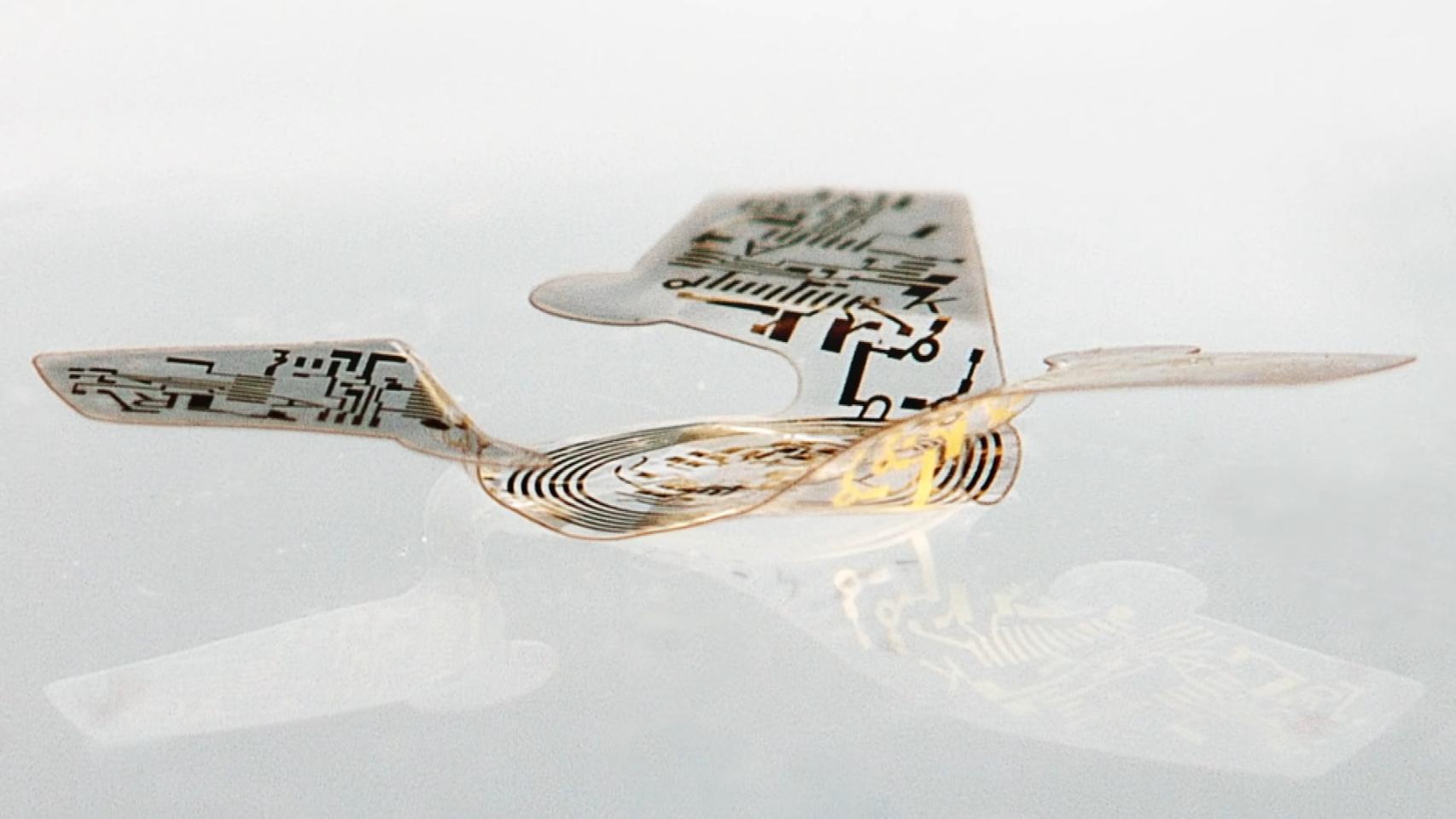 Microfliers, los chips voladores inspirados en semillas que analizan la ...