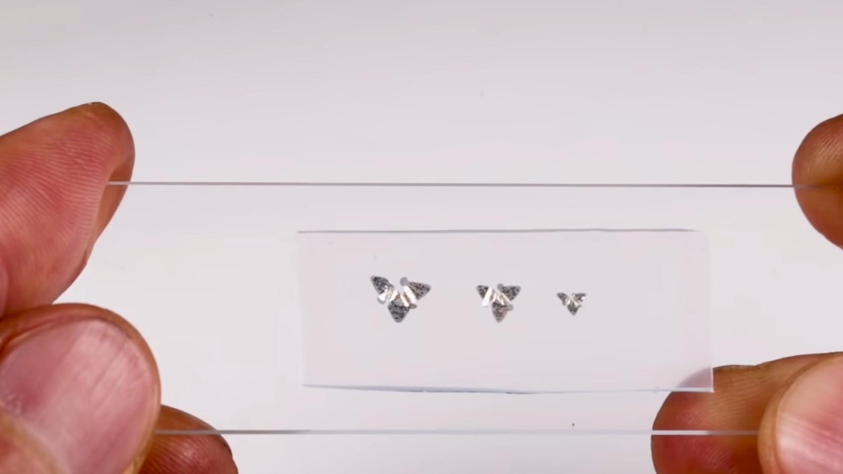 Microfliers, los chips voladores inspirados en semillas que analizan la ...