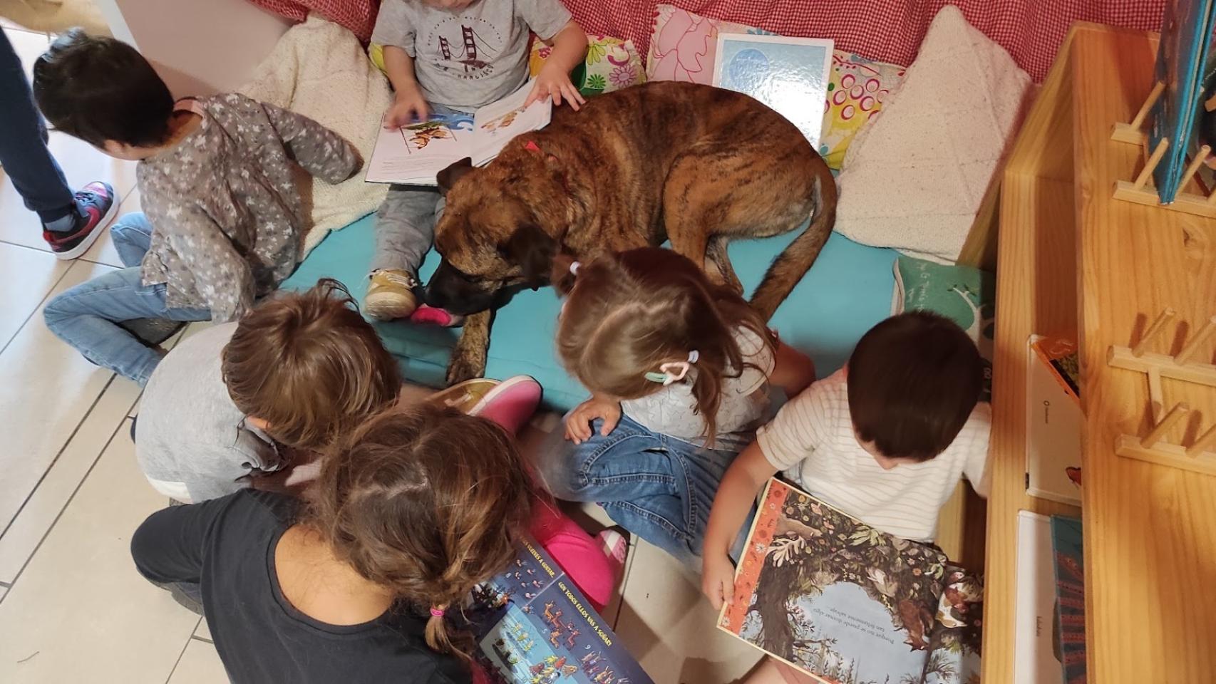 Draco, el perro profesor que ayuda a los niños a madurar y superar sus ...