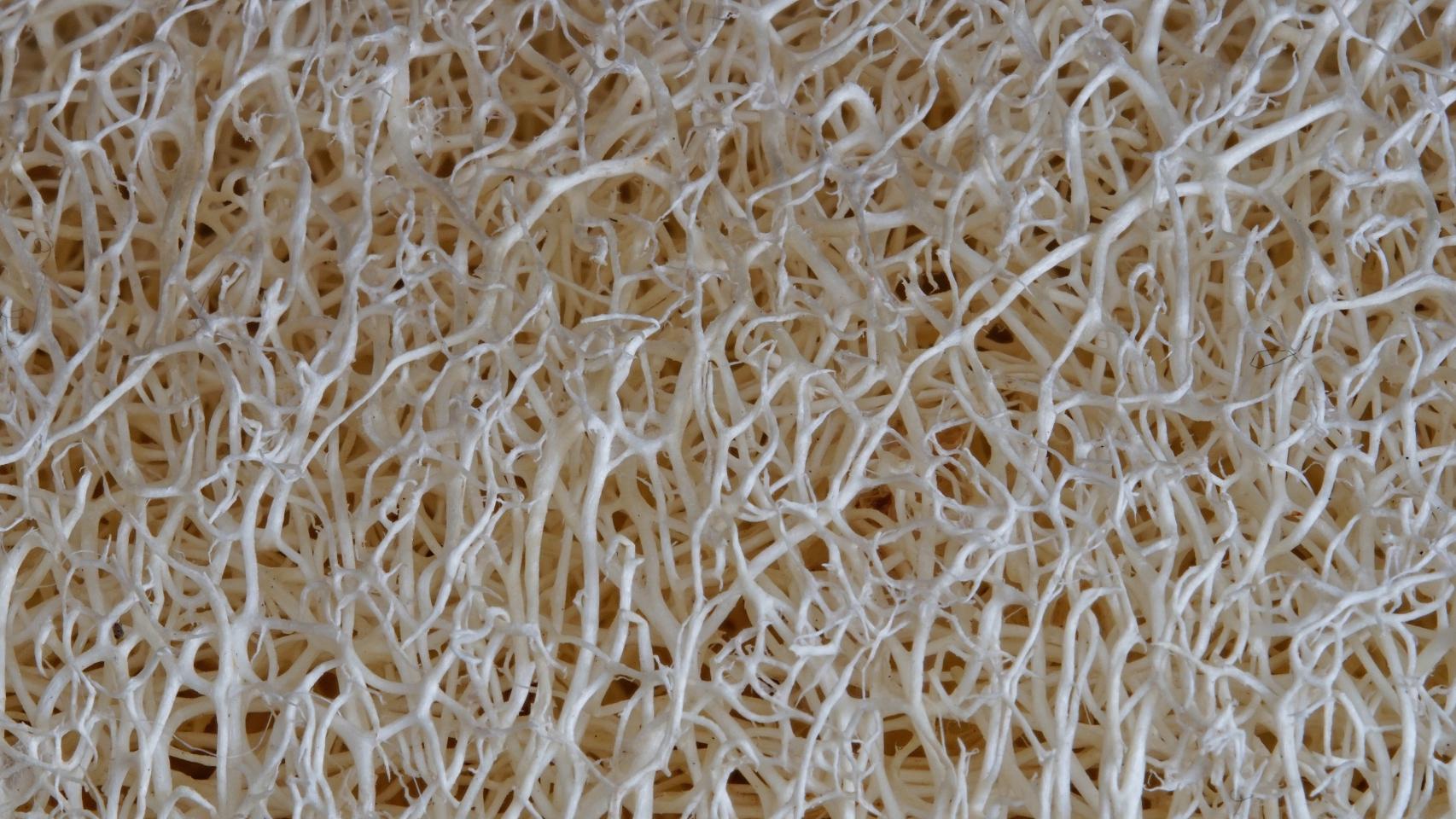 Esta fibra programable hará que tu ropa pueda medir tu actividad física ...