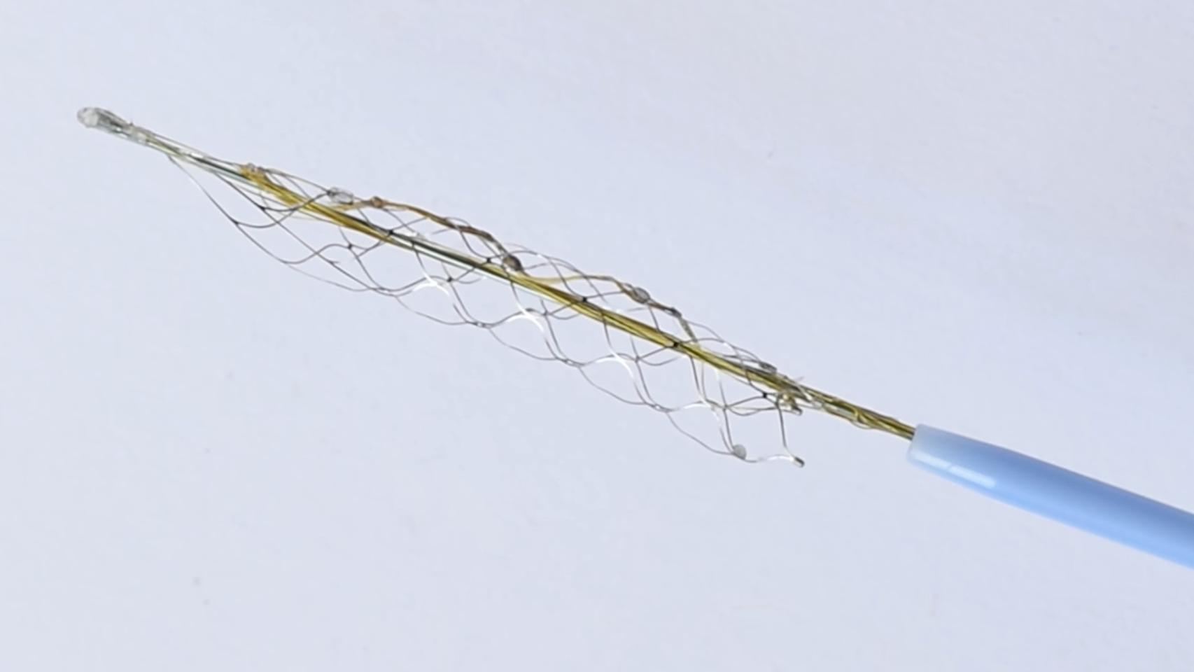 Stentrode, el implante cerebral que sirve para enviar mails con la ...