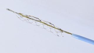 Stentrode, el implante cerebral que sirve para enviar mails con la ...