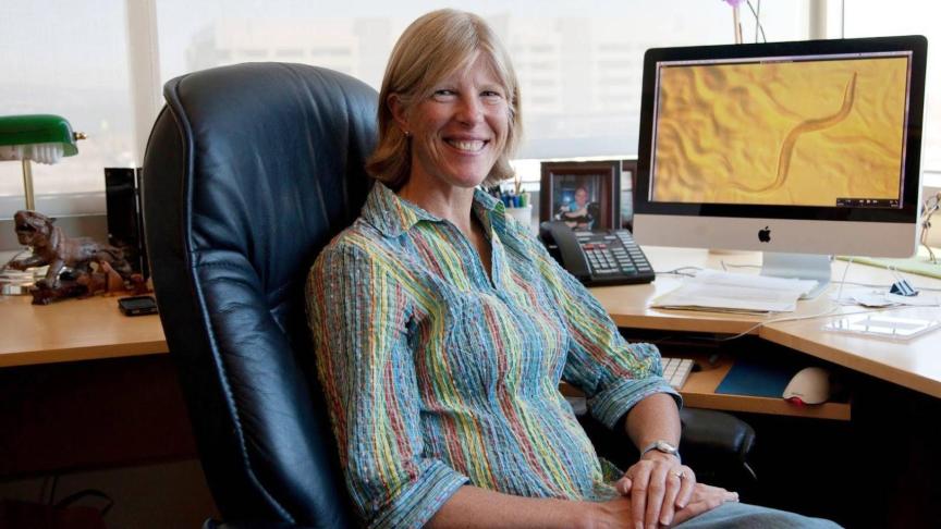 Cynthia Kenyon, la sabia de la longevidad: "El alcohol puede ser bueno ...