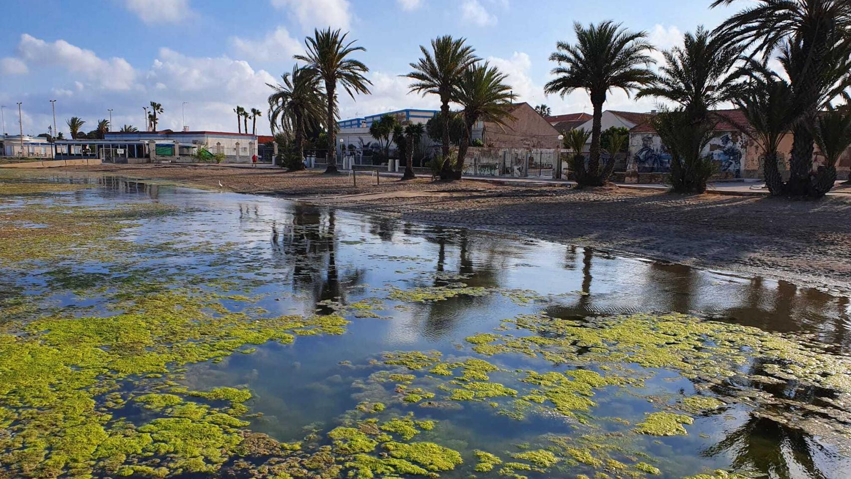 El coste de la 'sopa verde' del Mar Menor: Murcia se gasta 3M en ...
