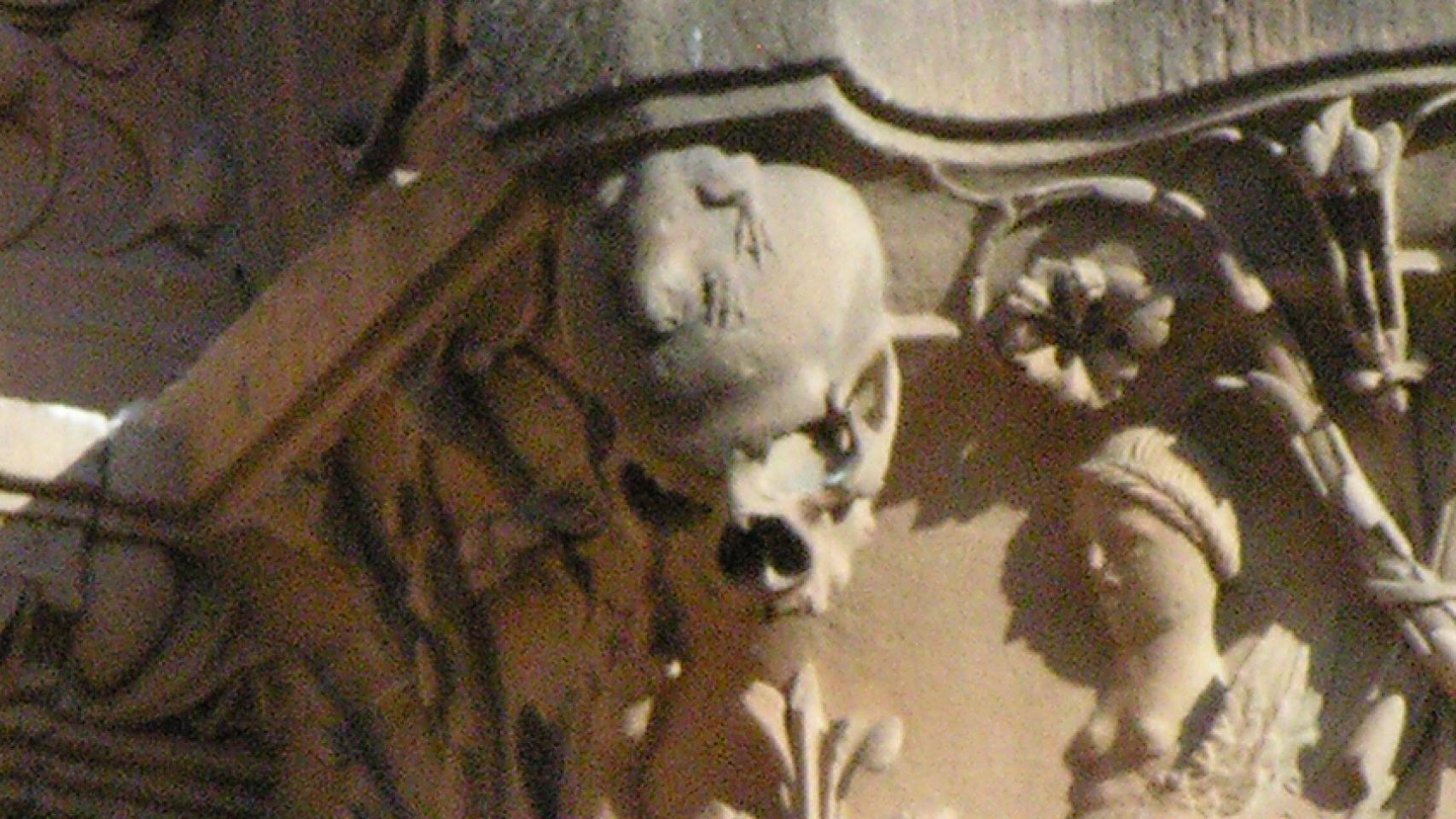 La rana de Salamanca: la más famosa del mundo