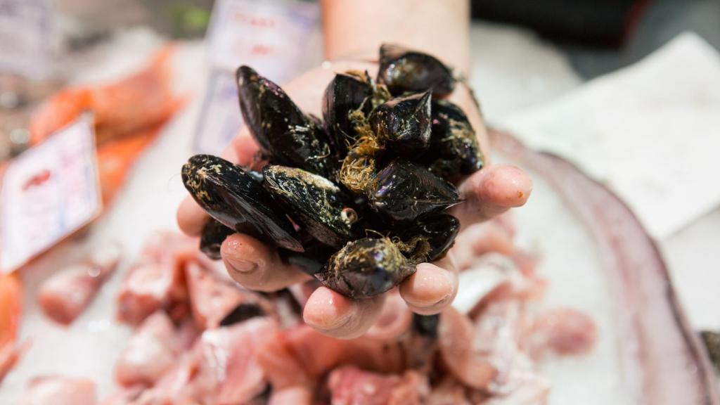 Las clóchinas, el manjar valenciano del verano que es prima del mejillón