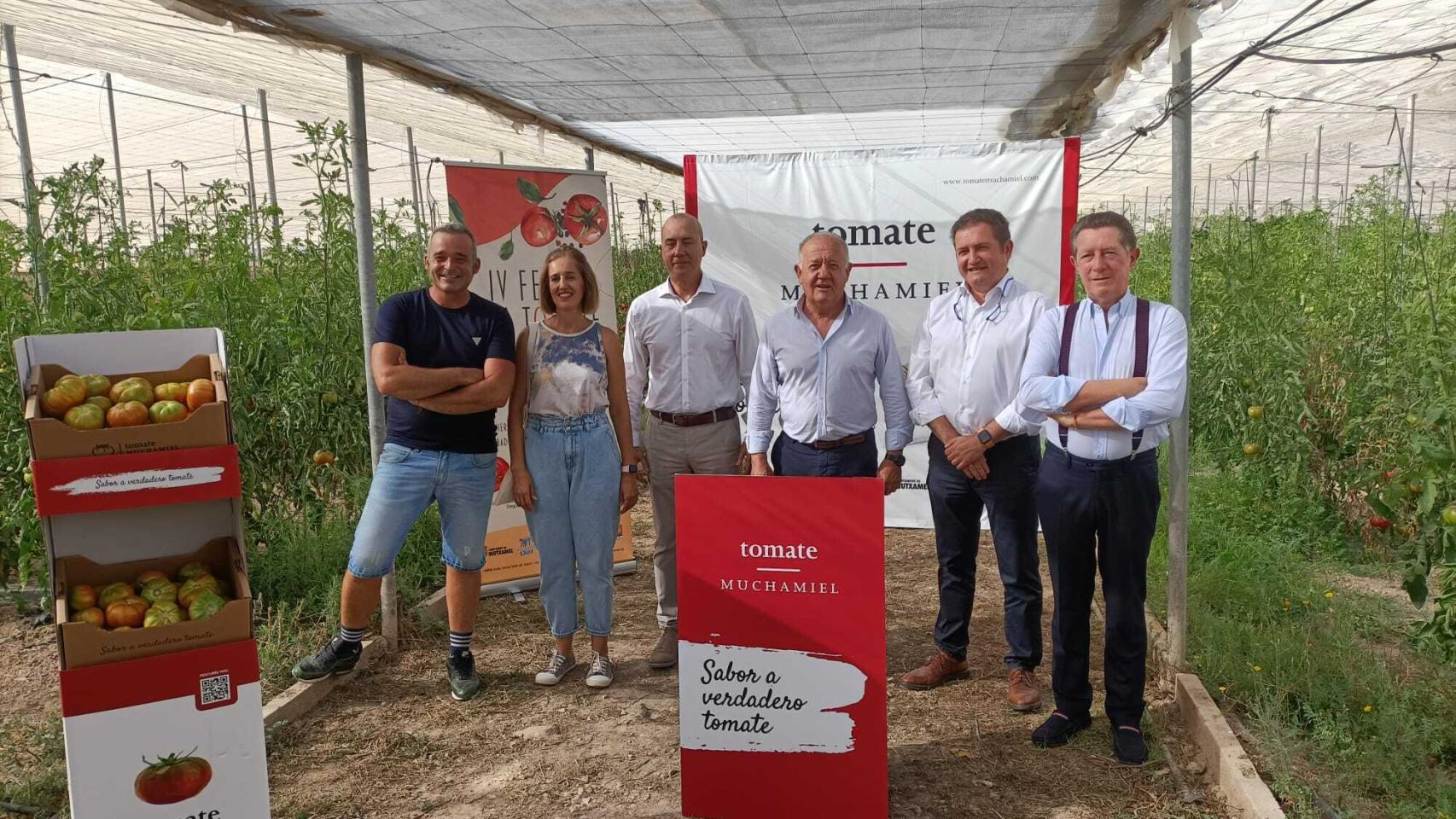 Mutxamel avanza en la consolidación comercial de su producto estrella: el "Tomate de Muchamiel"