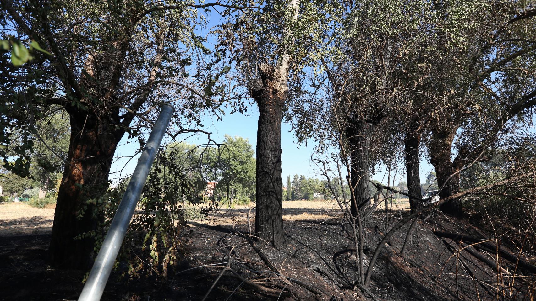 Se reaviva el fuego originado hace cinco días en una de las islas del ...