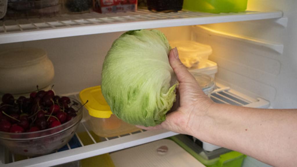 El truco definitivo para conservar la lechuga lo más fresca posible en ...