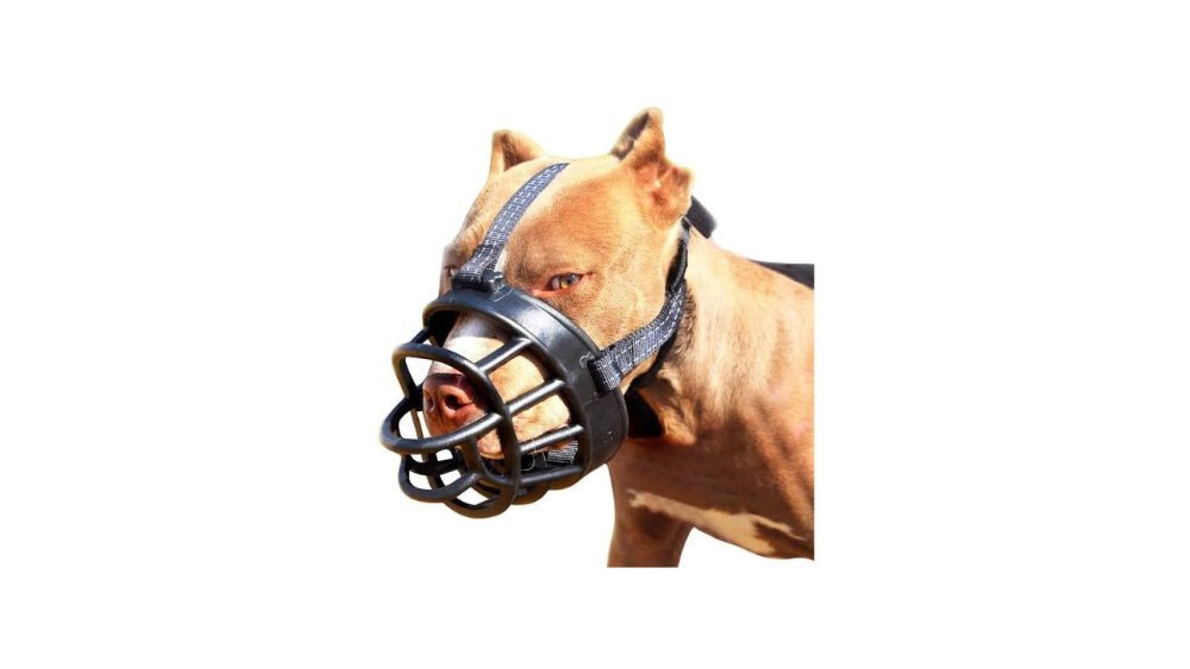 4 bozales para perros disponibles en Amazon según normativa para ...