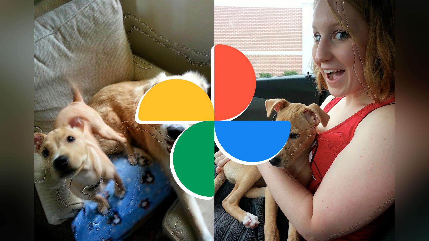 Google fotos, en problemas: fotos de hace años aparecen con graves ...