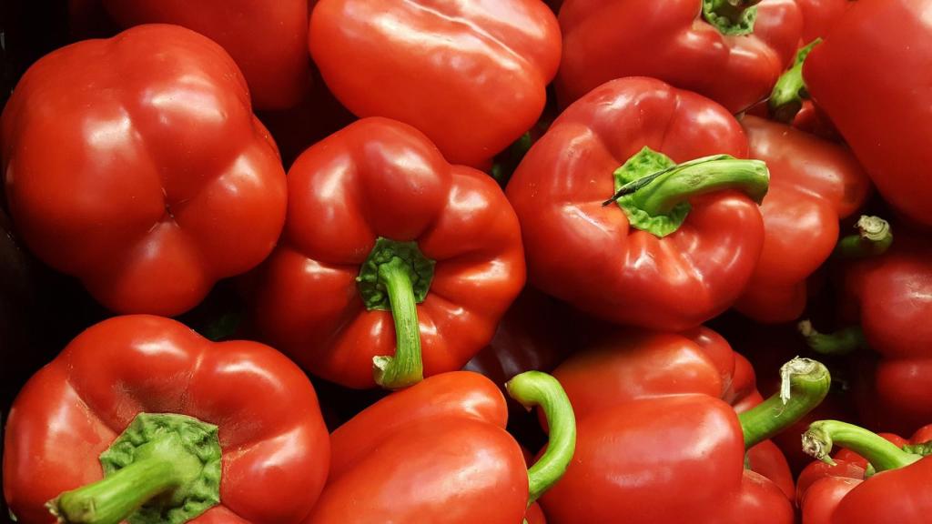 ¿Sabías que existen pimientos macho y hembra y qué cada uno tiene un ...