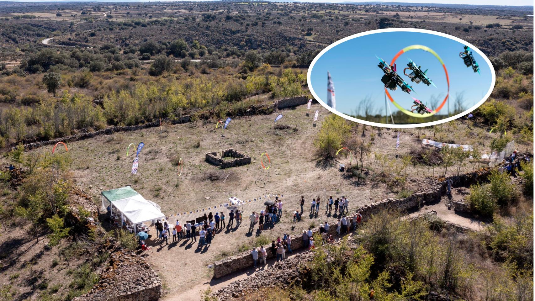 Unos 'pájaros' muy especiales custodian el cielo del castro de Yecla de ...