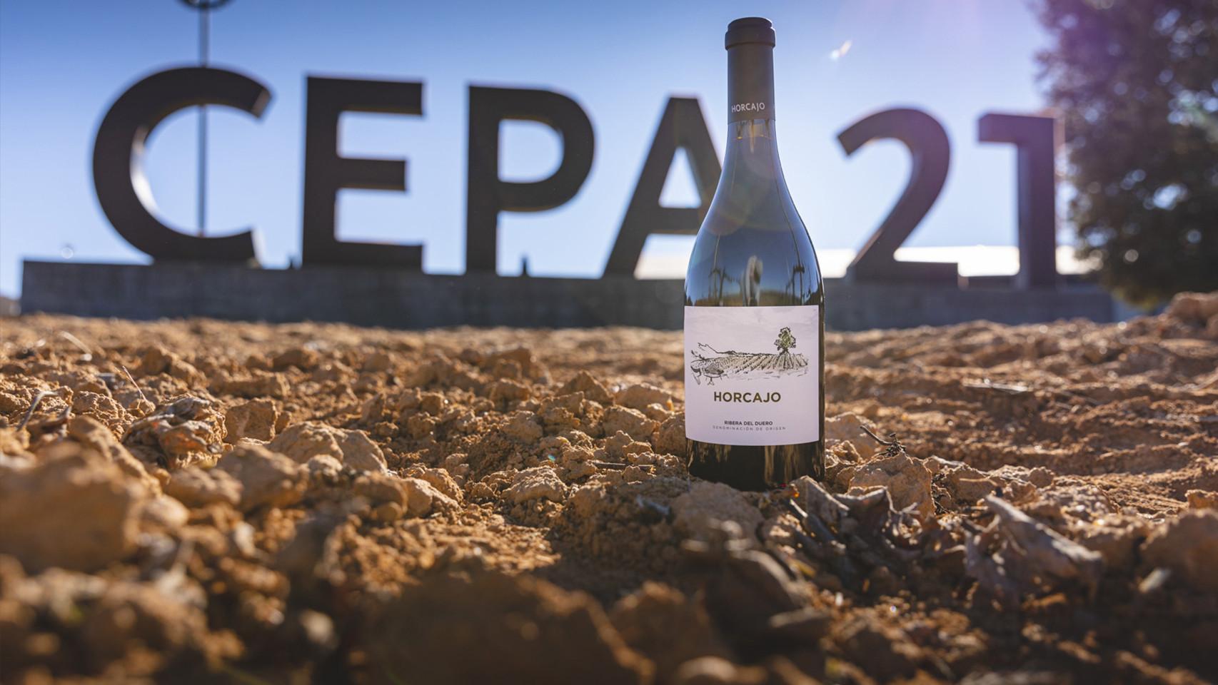 Cepa 21, la bodega que ha encontrado su sitio