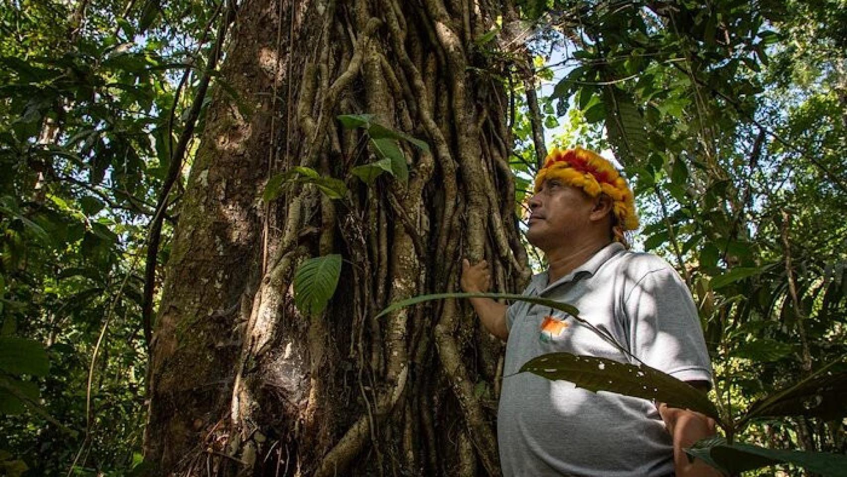 Ríos voladores, así es el impresionante fenómeno natural que se da en ...