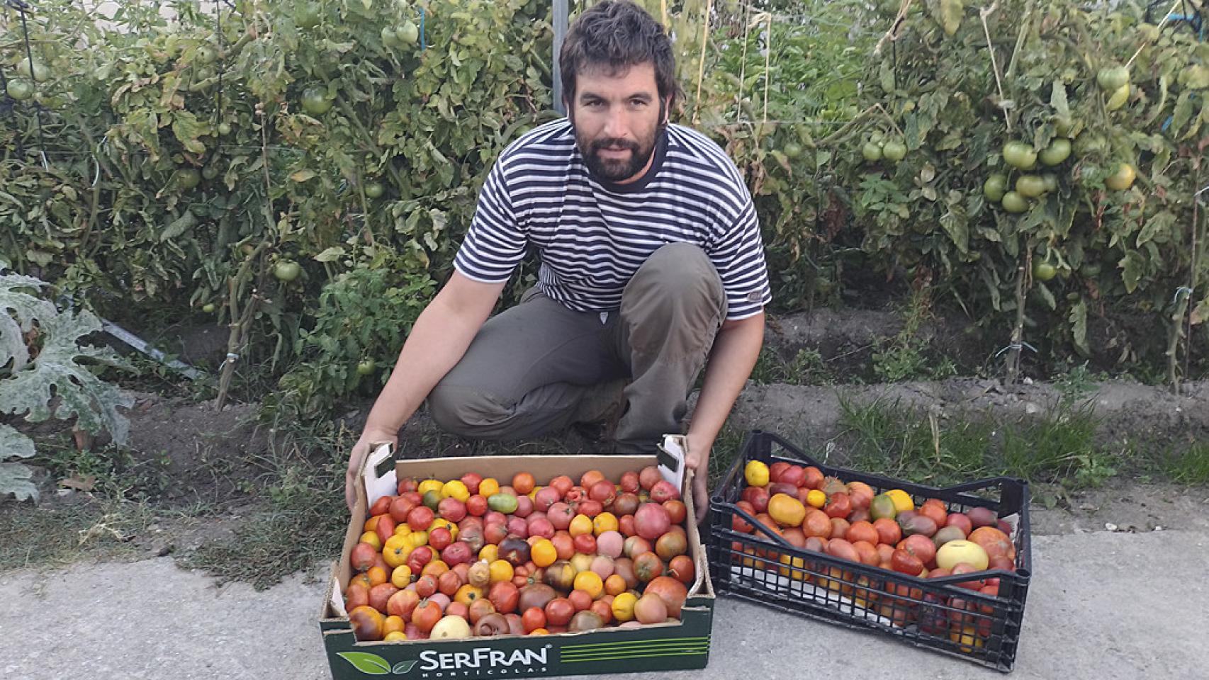 El paraíso del tomate: 1.000 variedades distintas en una huerta única ...