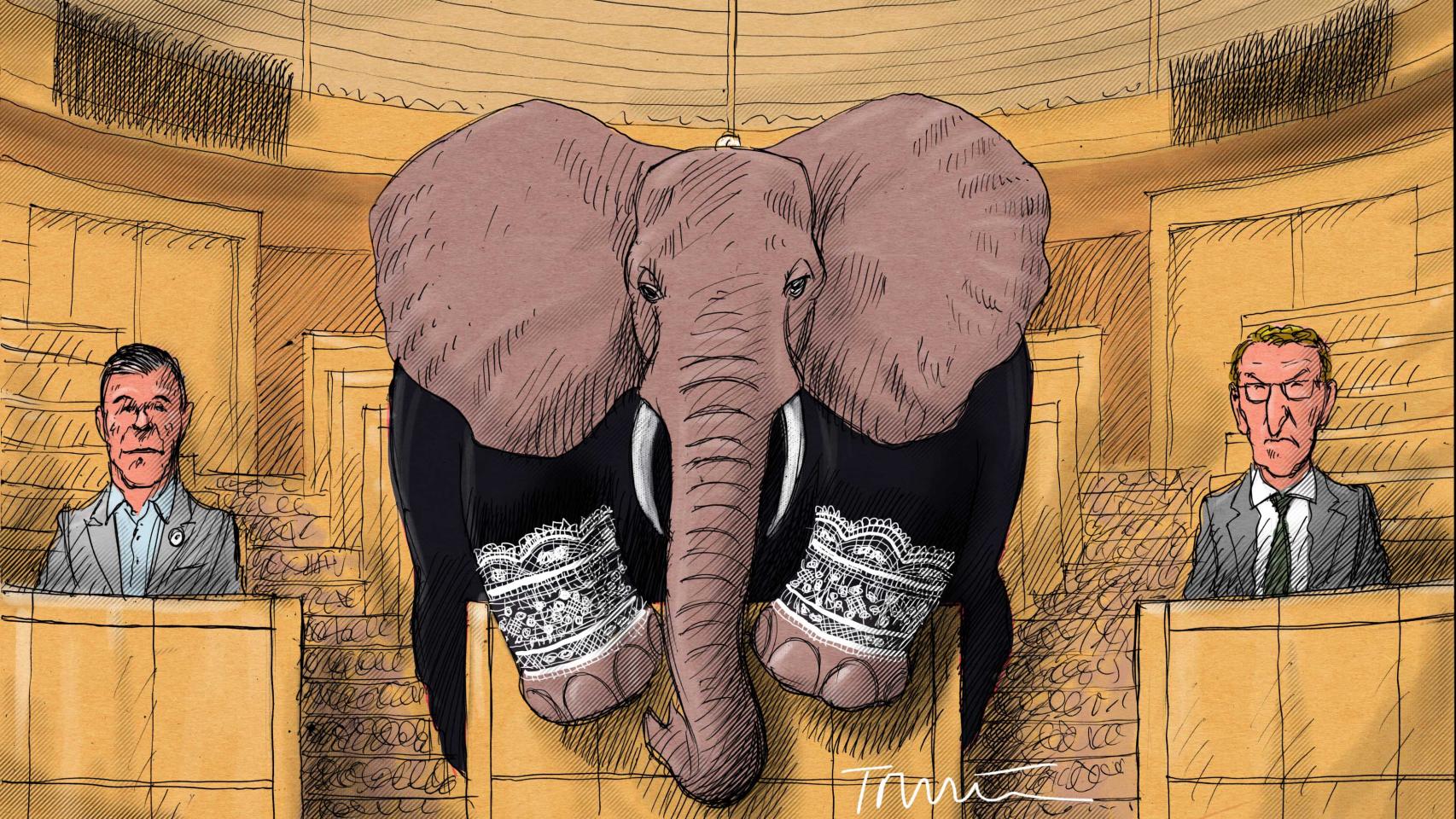 El elefante en el Senado