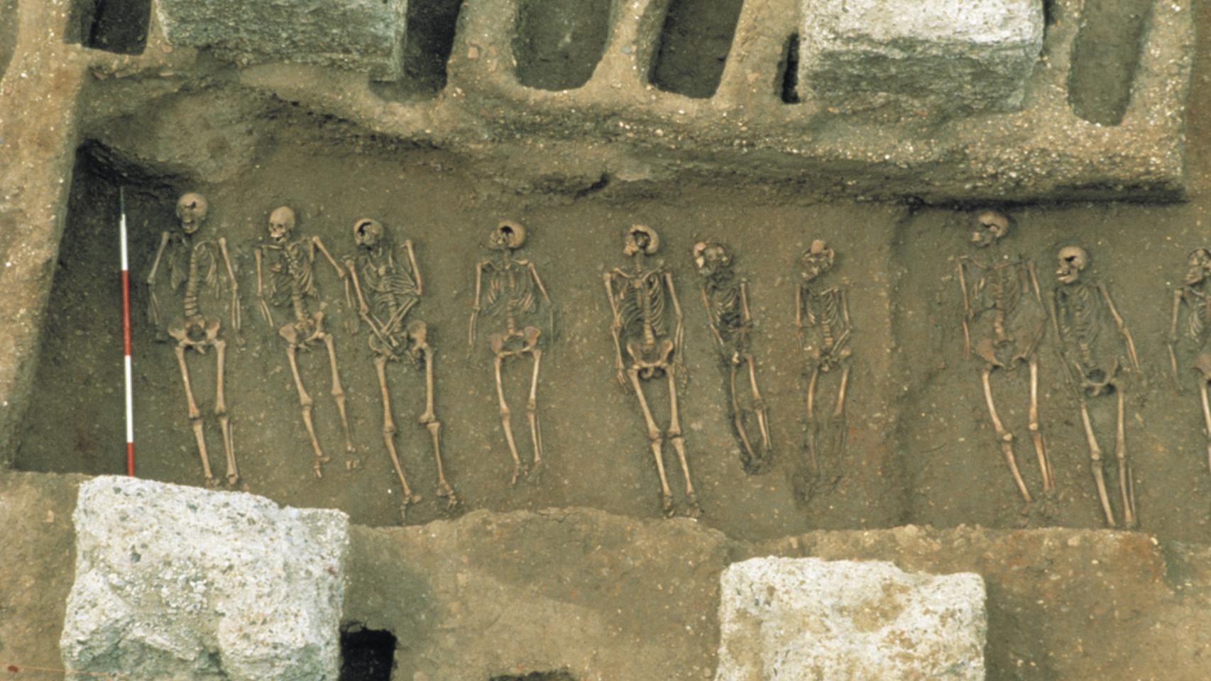 La 'maldición' genética de los que sobrevivieron a la peste: sus ...