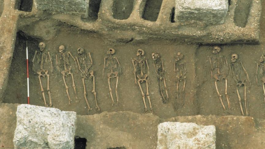 La 'maldición' genética de los que sobrevivieron a la peste: sus ...