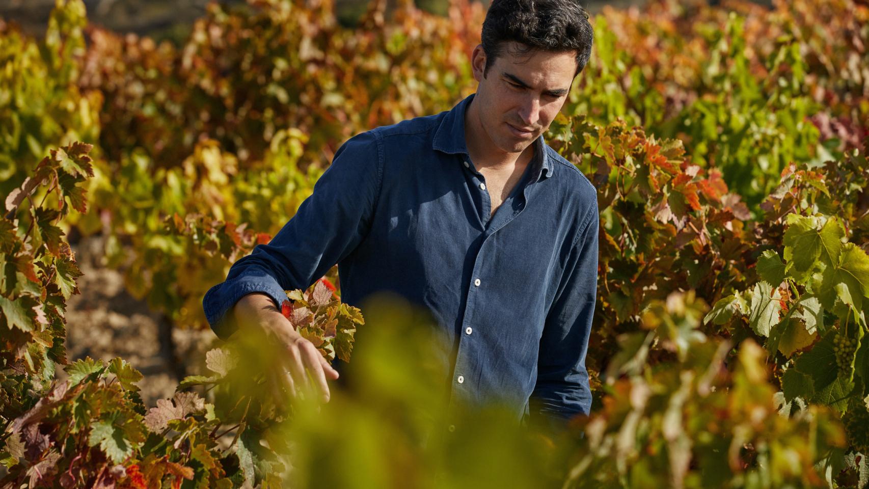 Senderos de Ukan, el hijo pródigo de la Rioja Alavesa