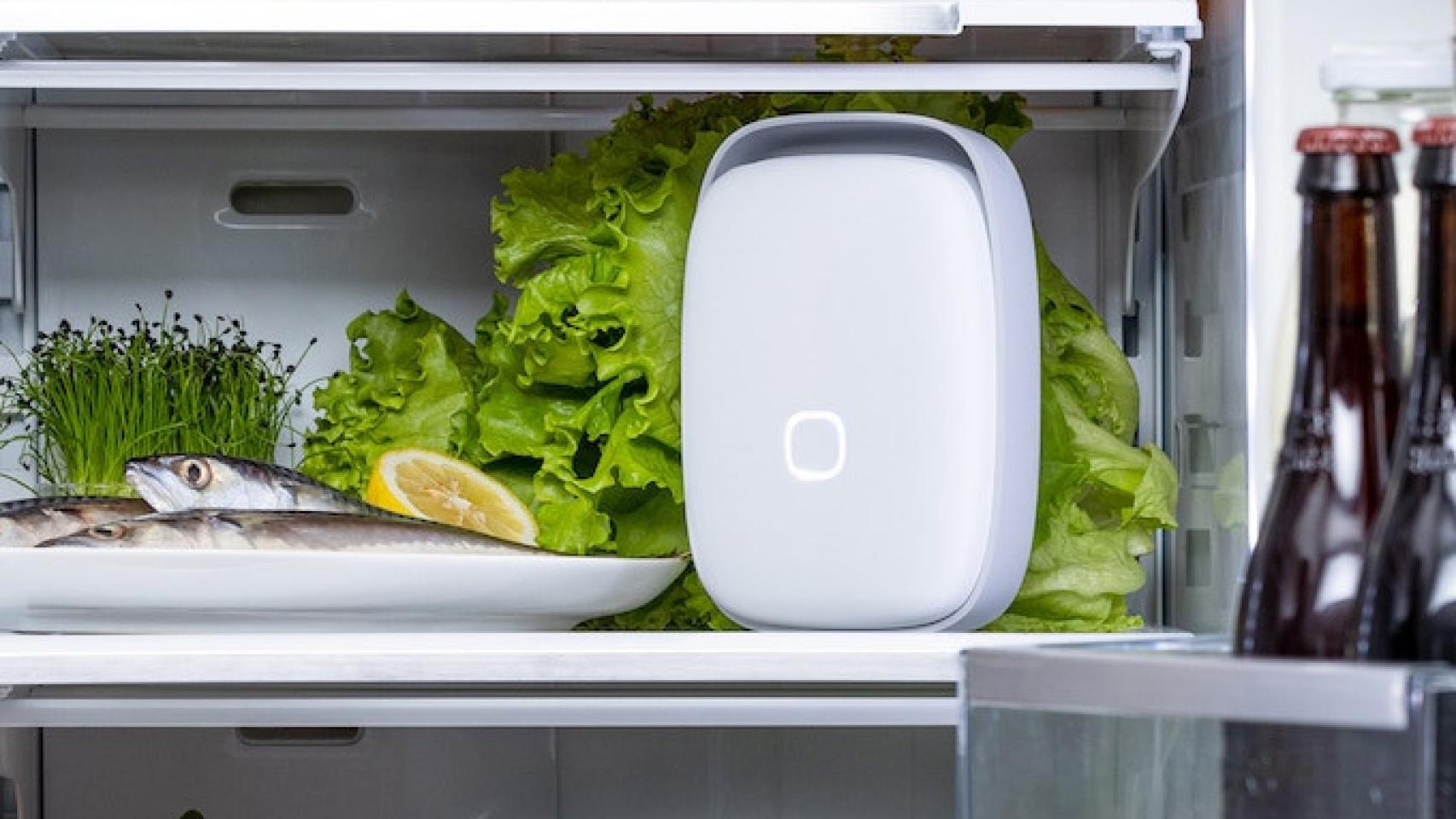 Shelfy, el ingenioso aparato para que los alimentos de tu nevera duren hasta 12 días más