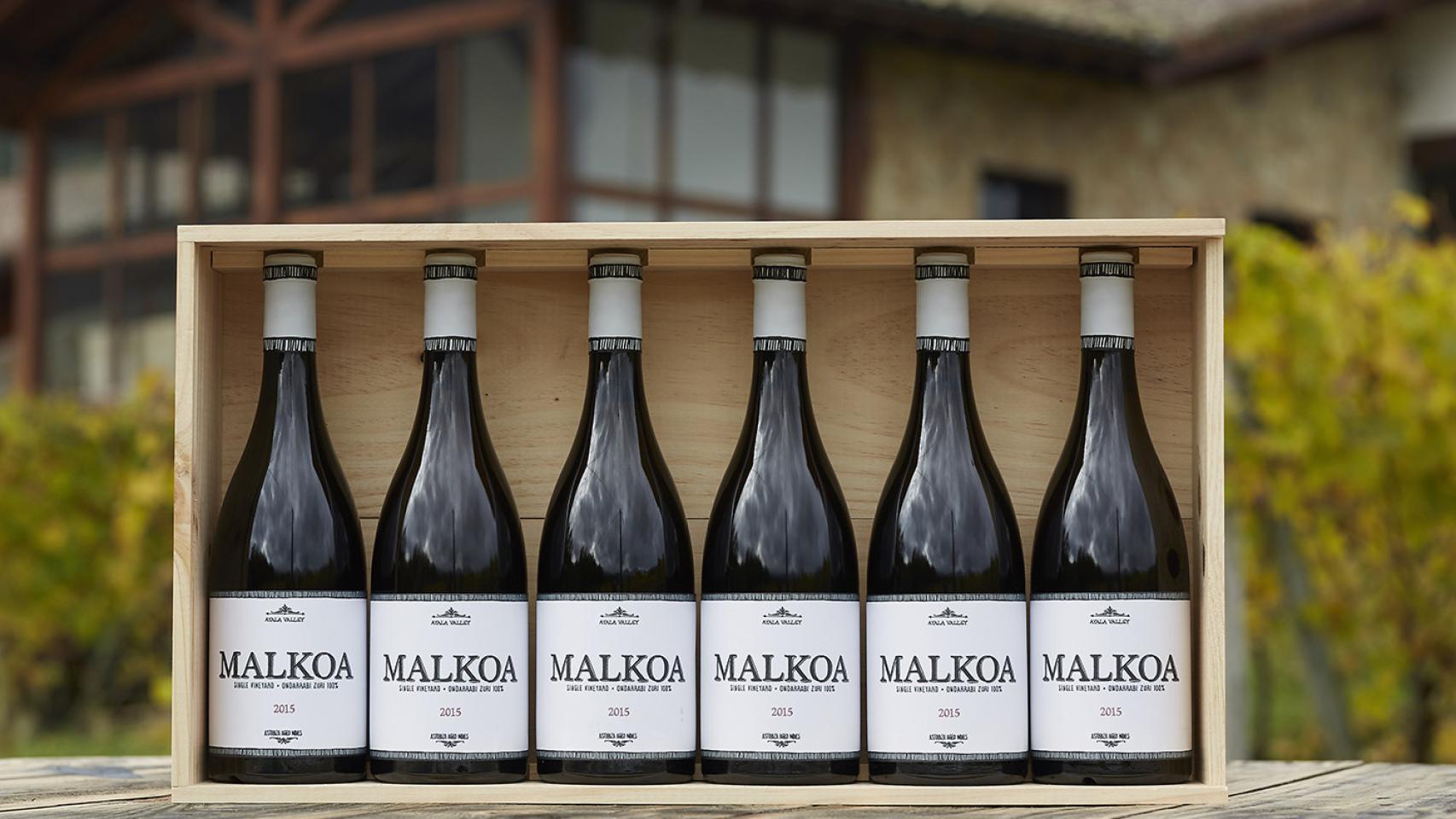 Malkoa, el txakolí de guarda de Astobiza que no conseguirás guardar