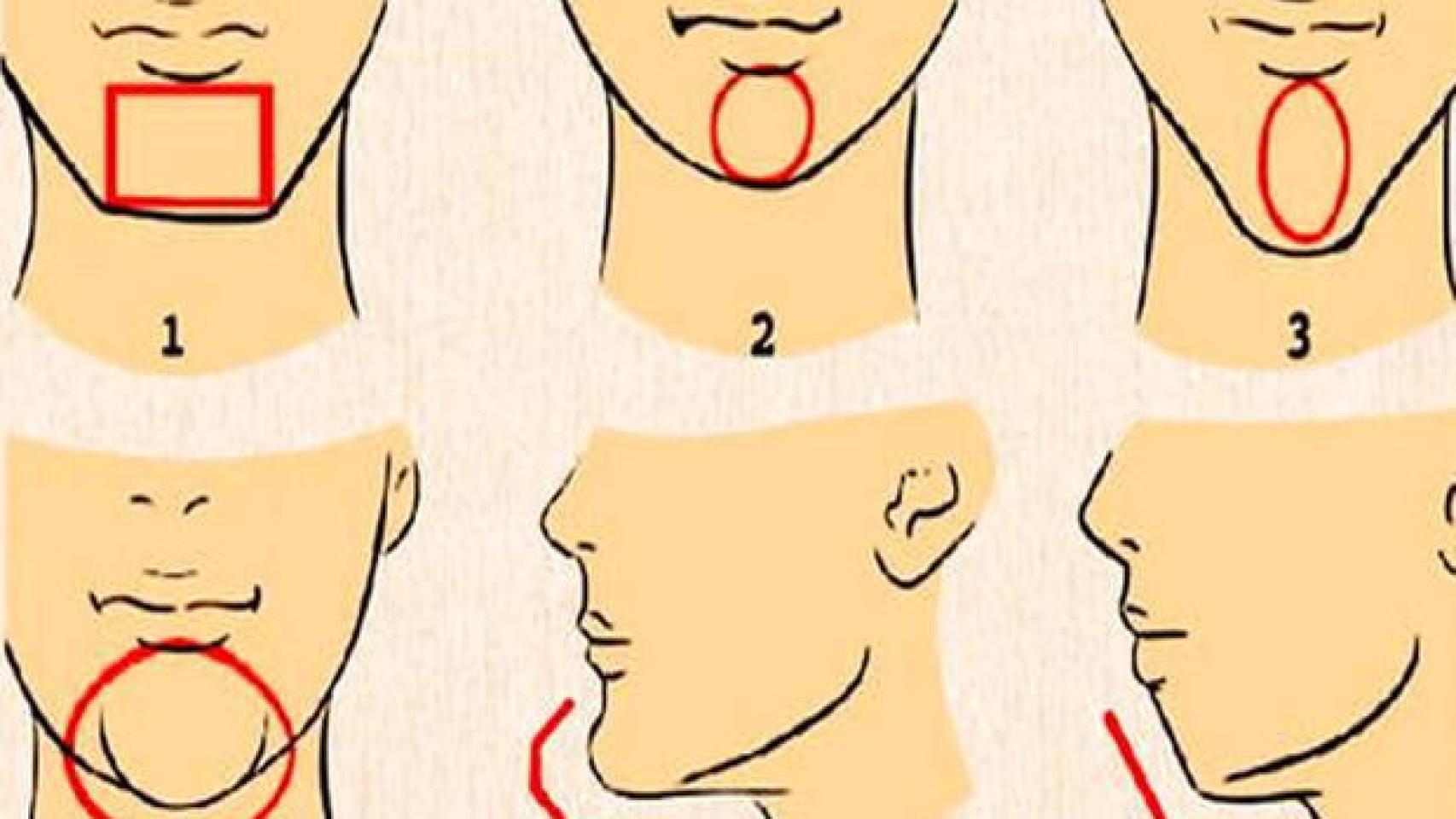 ¿Cuál es la forma de tu mentón? Descubre lo que revela este test de ...
