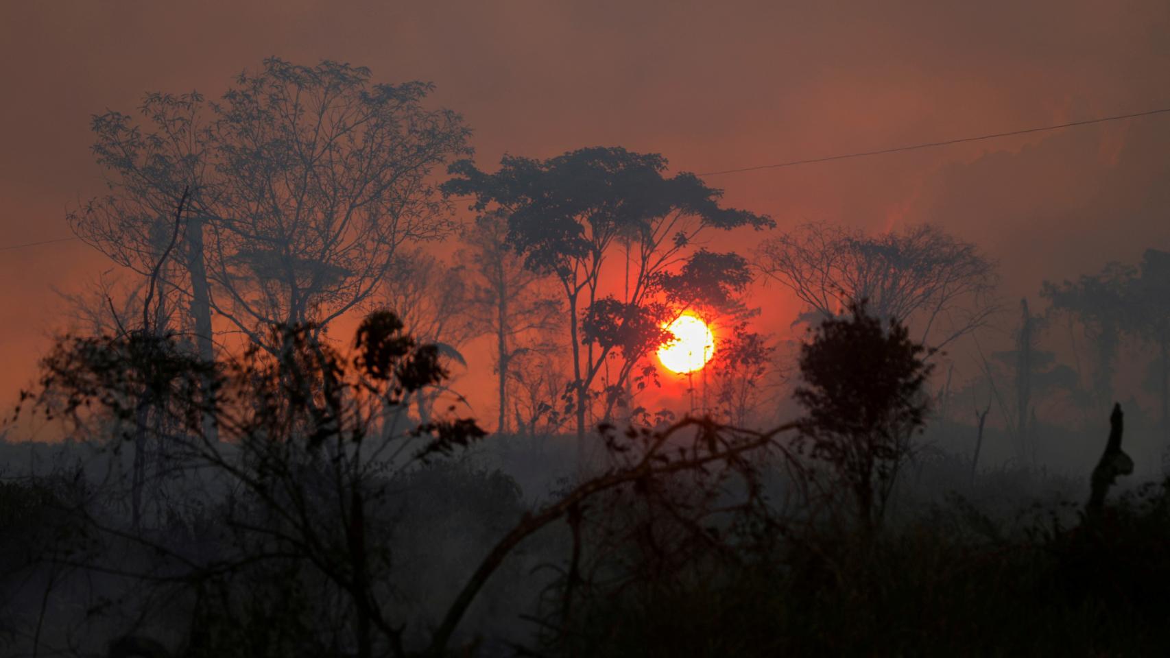 Un último ‘salvavidas’ para el Amazonas post Bolsonaro: las 3 claves de ...