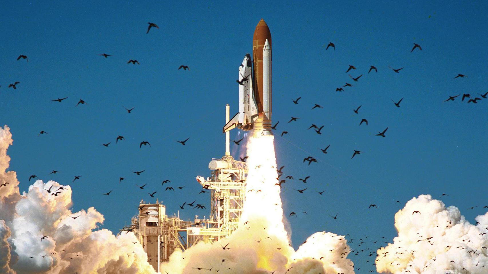 Encuentran los restos del Challenger más grandes hasta la fecha cerca ...