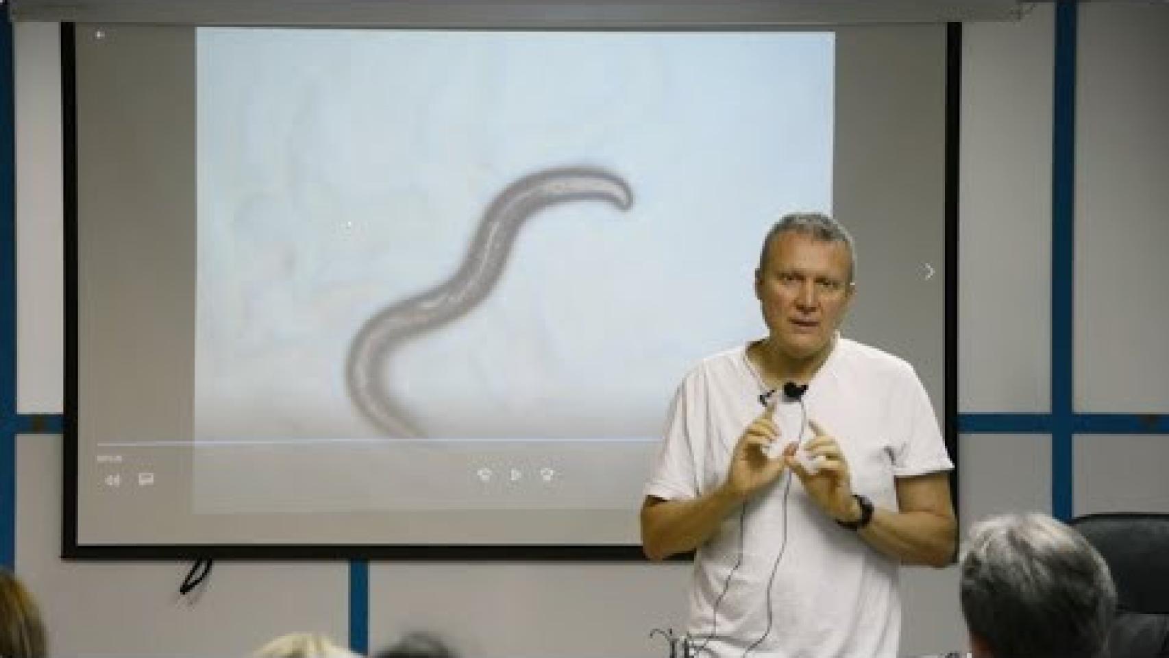 El milagro de Ramón Risco, el investigador que ya resucita gusanos ...