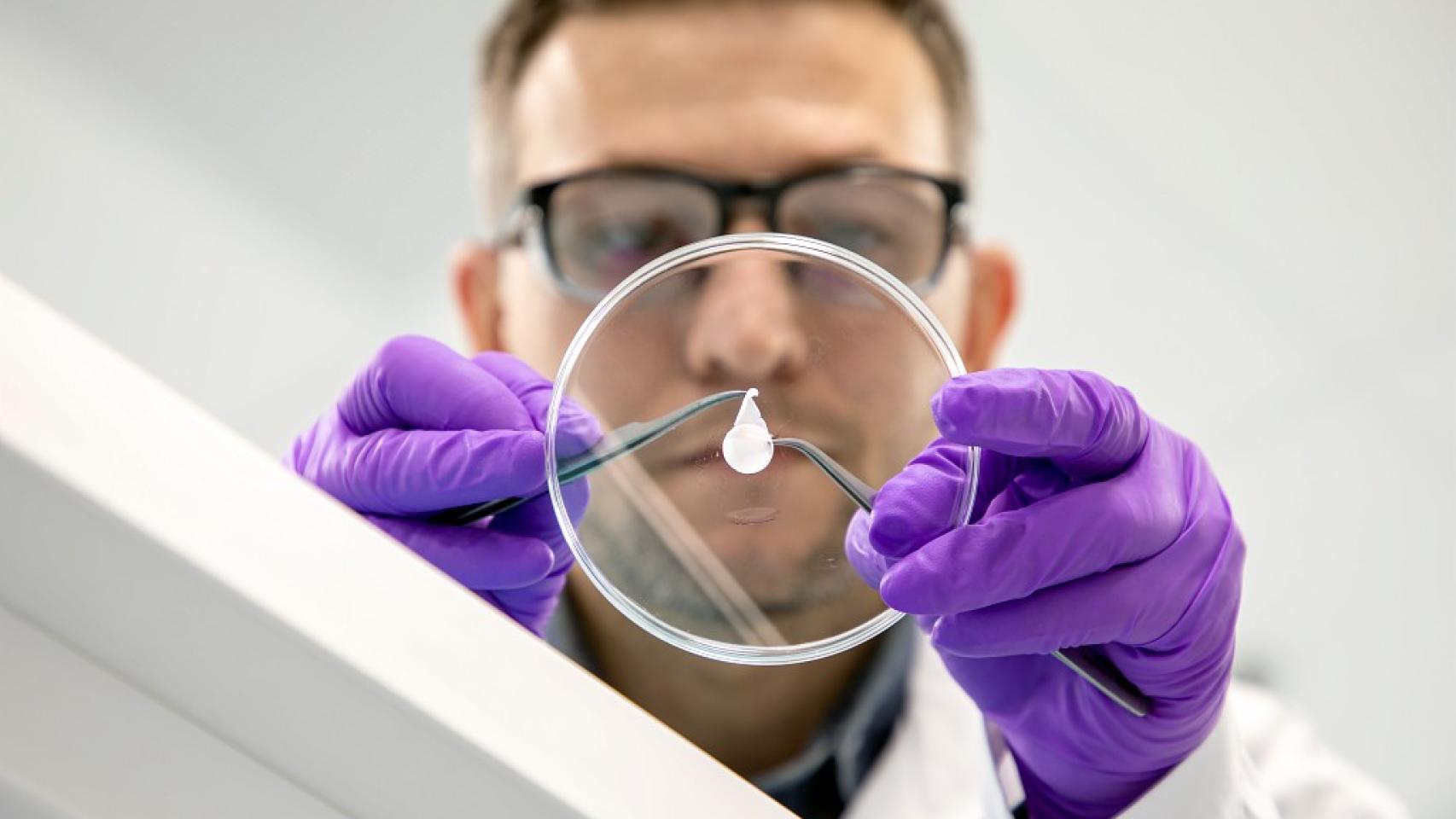 Conoce las alternativas al test en animales que están liderando en la ...