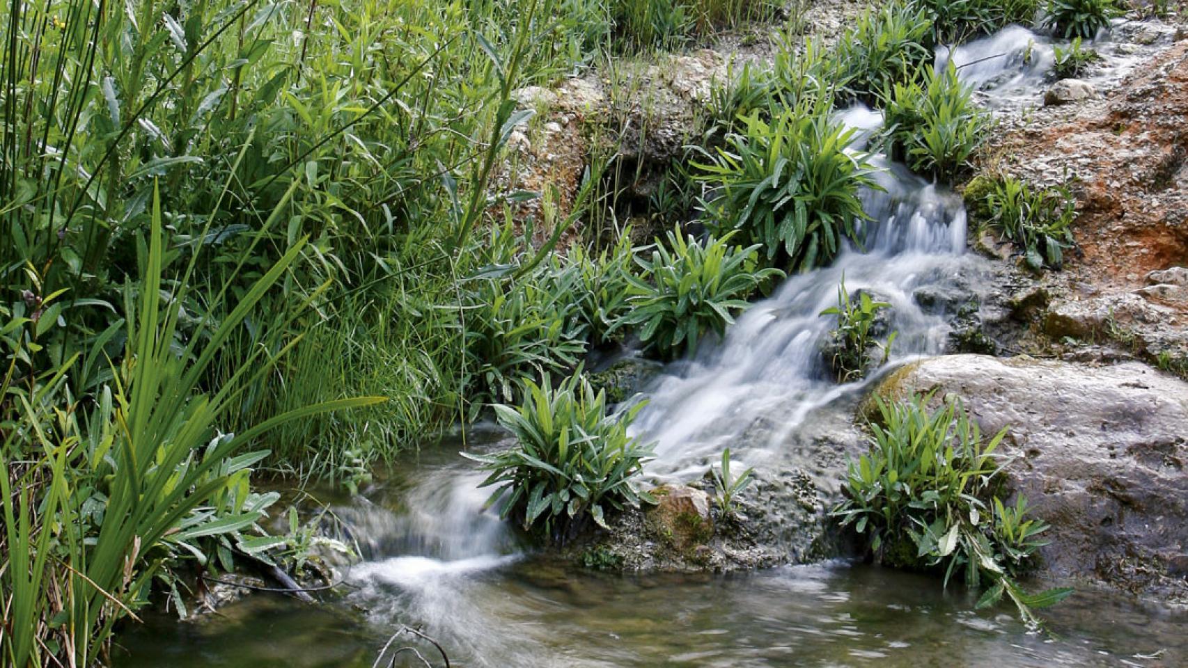 'Persiguiendo manantiales': así es la ruta por los nacimientos de agua ...