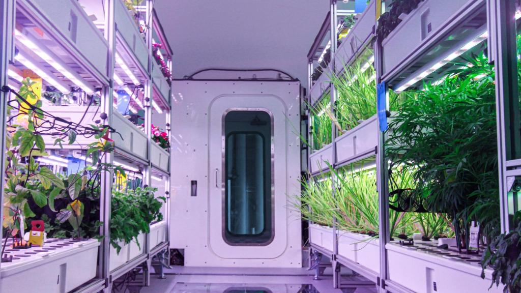 BioPods, las cápsulas hinchables para cultivar la comida de los ...