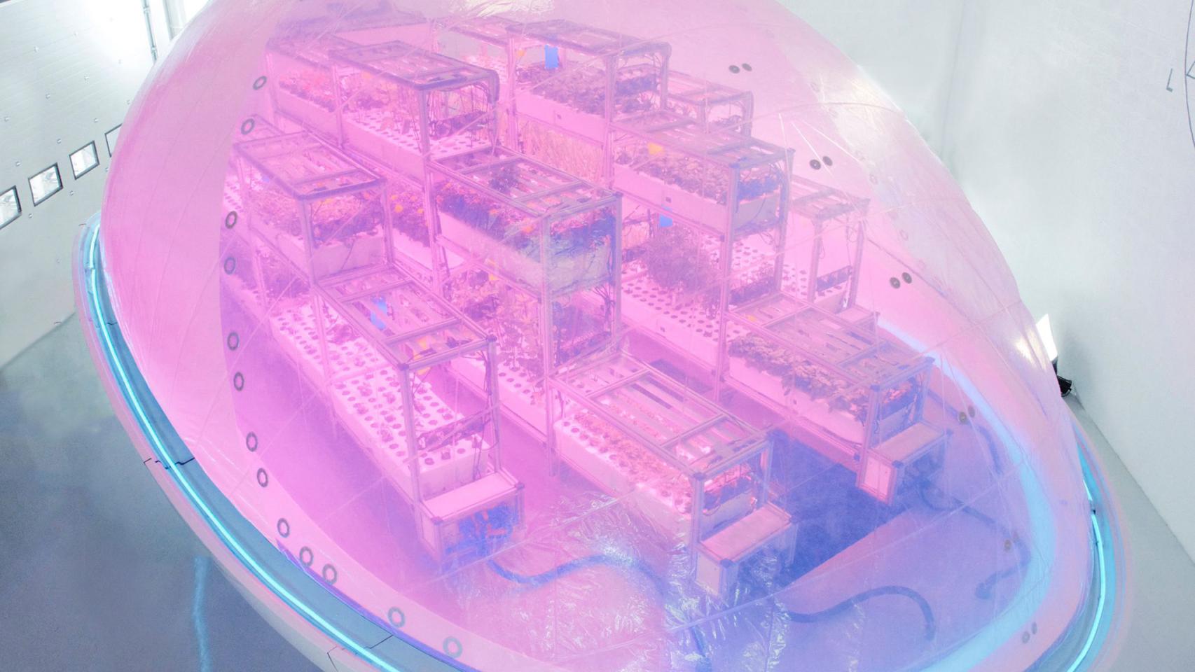 BioPods, las cápsulas hinchables para cultivar la comida de los ...