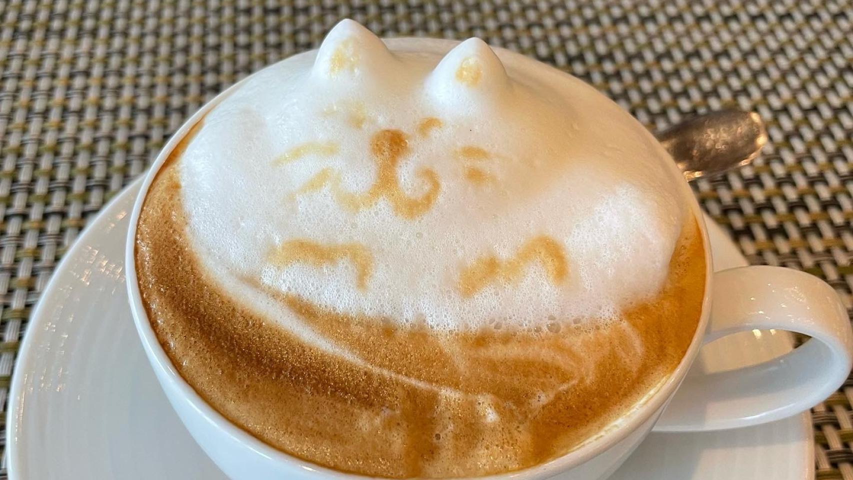 La fiebre del 'latte art' que arrasa en redes: ¿artistas sobre el café ...