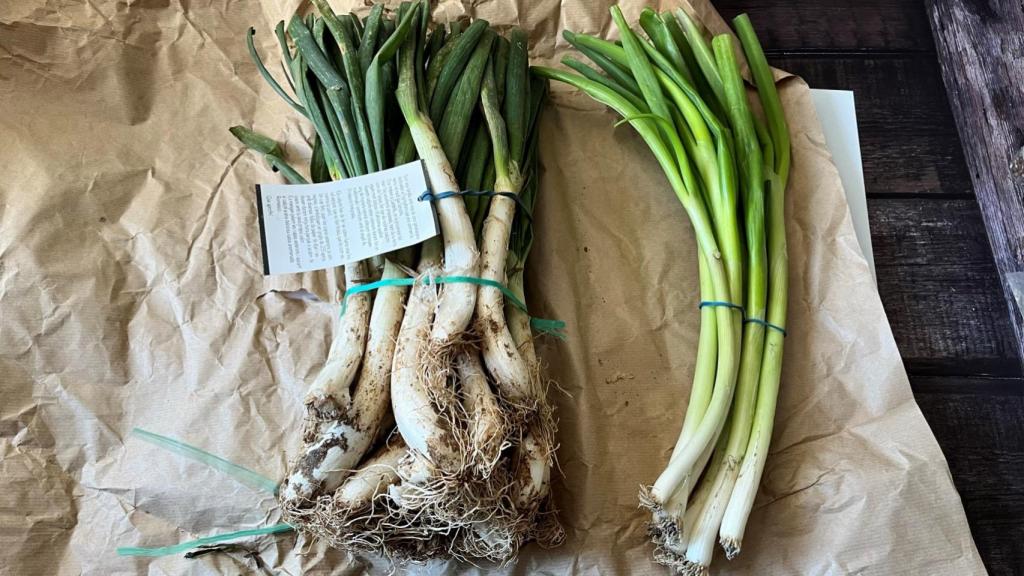 Cómo cocinar calçots en casa (sin hacer fuego)