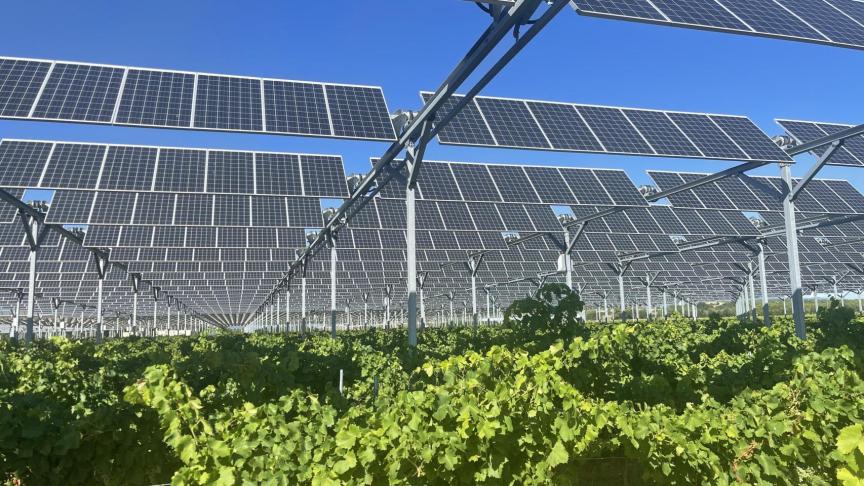 El ingenioso panel solar que revolucionará el campo: luz barata y ...